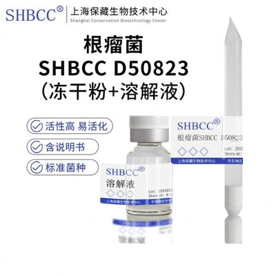 根瘤菌SHBCC D50823非模式菌株豆汁合成培养基28℃培养活化冻干物