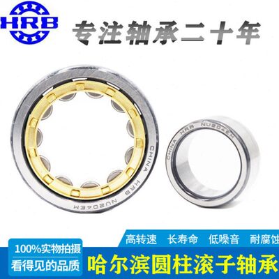 哈尔滨圆柱滚子轴承NUP411 412 413 414 415 416EM