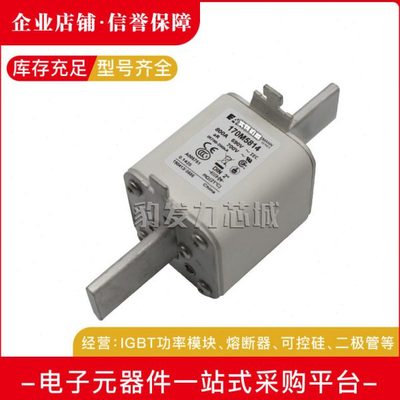 170M5952/5953/5954/5955/5956/5957/595/5959/5960/5961熔断器