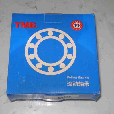 TMB天马 国产精品 NJ2309EM  NJ409EM 42609 45*100*36 NUP2306EM