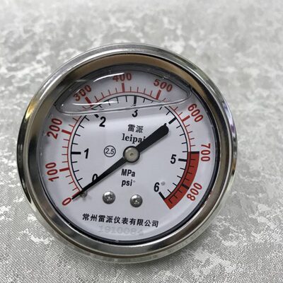 雷派 leipai 轴向耐震压力表 YTN-63Z-U 0-6mpa 800psi 直径61mm
