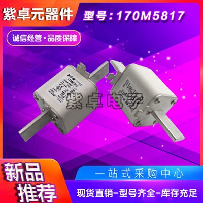 170M5981 170M5982 170M5983 170M5984 170M5985巴斯曼快速熔断器