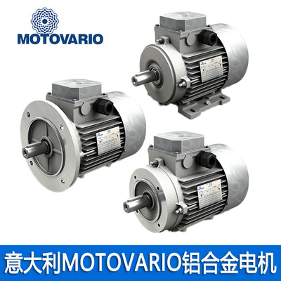 意大利MOTOVARIO铝合金电机TS63B4-0.18KW 三相异步电机现货 原装
