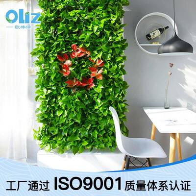 欧林泽厂灌家2米植花物墙自动人溉BG塑料懒花盆绿2米植物植绿墙盆