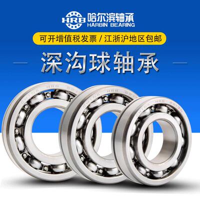 HRB轴承6304N 6305N 6306N 6307N 6308N 6309N 6310N 6311N 6312N