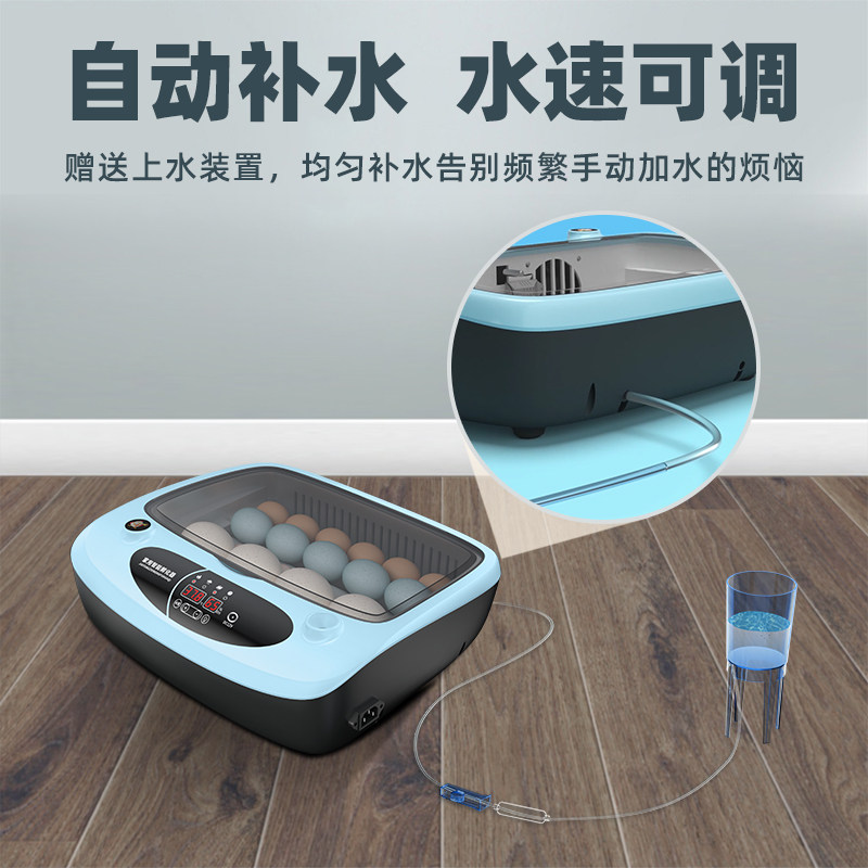 全自动小型孵化器小鸭新智用能孵化机迷你孵蛋器鸡鹅鸟孵化箱家品