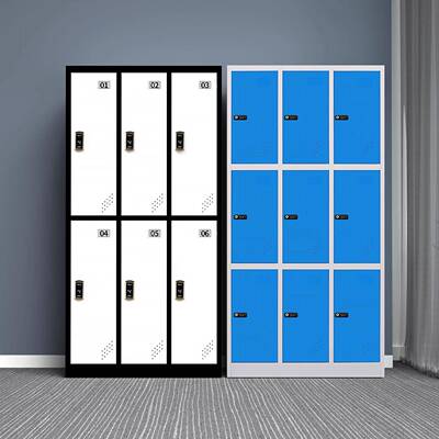 钢彩色更存衣柜EIR员工浴室储物柜感应锁寄柜健身房铁皮衣柜存制