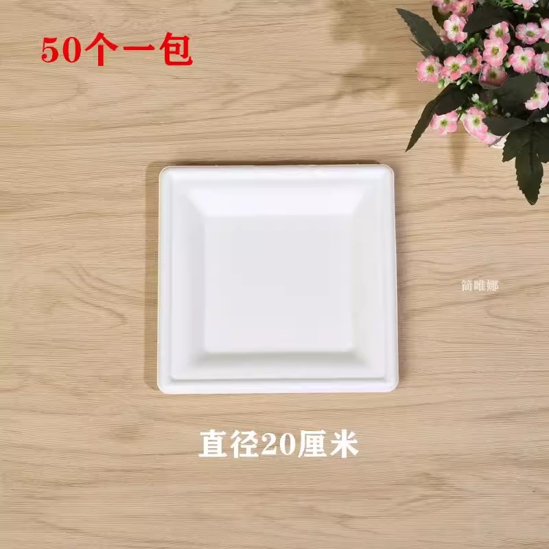 一次蛋性糕盘纸盘环正可降解保方形纸浆盘加厚绘画盘甘蔗纸托盘
