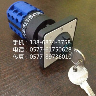 LW26S-20 LW39B-16 D303/3CM S 单孔带面板 钥匙 暗锁型转换开关