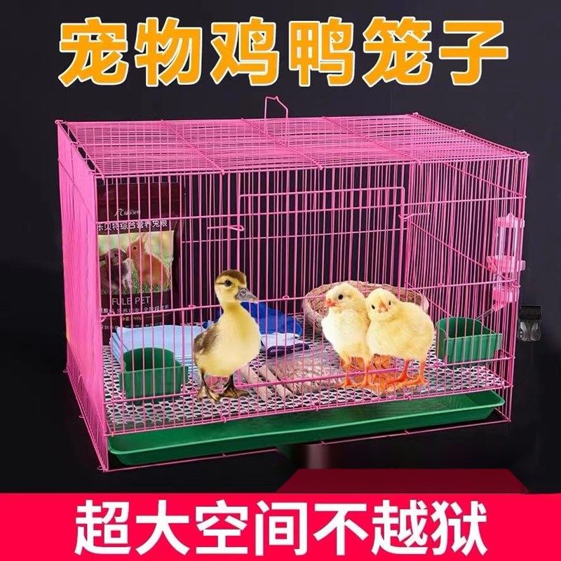 宠物鸭子窝芦丁鸡专用笼柯尔鸭笼家用鹦鹉鸽子笼大号加密养殖鸡笼