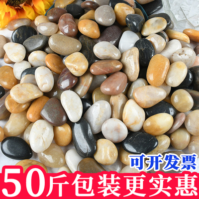 50斤鹅卵石铺路地庭院花园天然雨花石原石园林造景大小鹅软暖石头