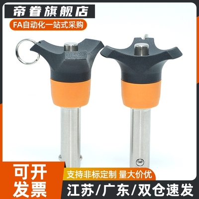 BLP5/6/8/10/12/16-10/15/20/25C/30/40/50/60/80/球头锁紧销ZAA0