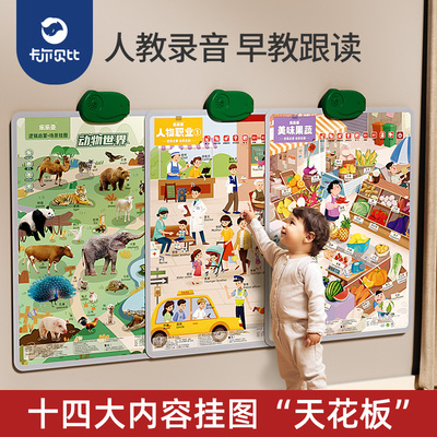 婴幼儿有声挂图早教儿童点读认知墙贴识图挂画1岁宝宝学说话玩具