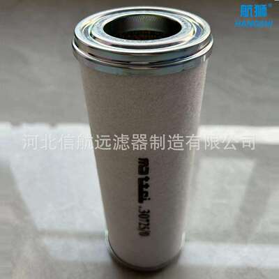 CR21F30725/804003209/CR21F30389/803447955滤芯