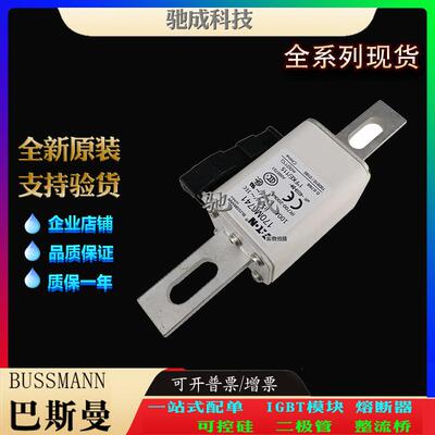 巴斯曼170M3741 170M3742 170M3743 大量现货出厂价格 高速熔断器