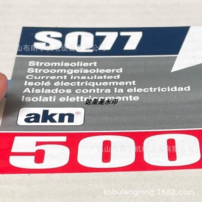 德国AKN外圈绝缘防爆电机6030MA/C3/SQ16 NUP2305E/MA6/C4/SQ52轴