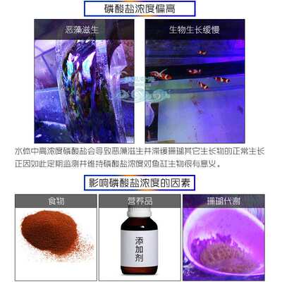 德国TM除藻水除藻粉剂降PO4 NO3除红泥绿泥珊瑚鱼水族鱼缸净水剂1