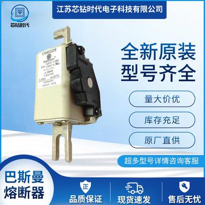 170M3238170M3239170M3240巴斯曼BUSSMANN熔断器保险丝