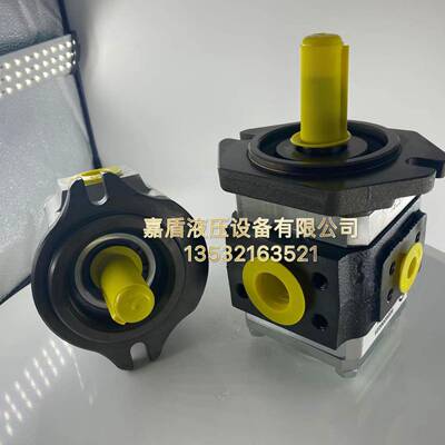 德国艾可勒/艾可乐齿轮泵ECKERLE/EIPC6-125RA23-10注塑机油泵