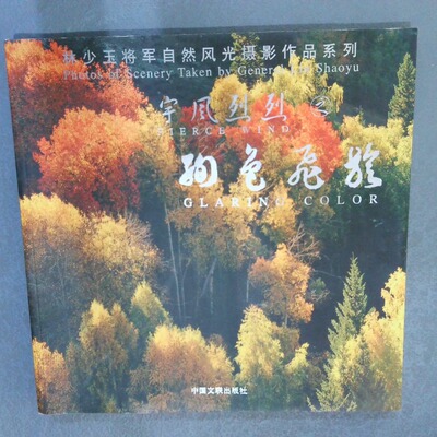 正版二手实拍林少玉将军自然风光摄影作品系列：宇风烈烈之——绚色飞旋雷音9787505955028中国文联出版社