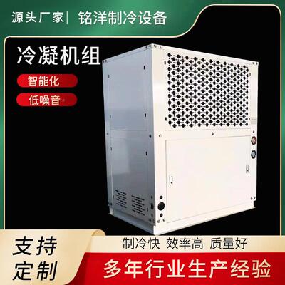 冷库箱冷式制冷机组低温XTD全封闭式冷冻藏冷机制冷风组冷箱式凝
