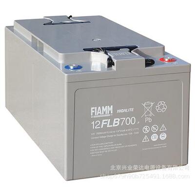 FIAMM非凡蓄电池12FLB800铅酸电池12V200AH储能工业电源高倍率
