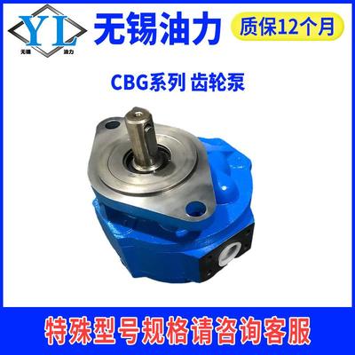 工程吊车齿轮油泵CBGJ2040L花键CBK1020/JHP2063L双联泵铲车