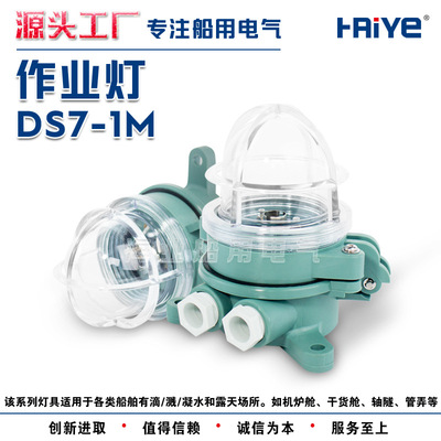 船用工程塑料白炽作业灯DS7-1M吸灯式露天场所甲板照明灯24V15W