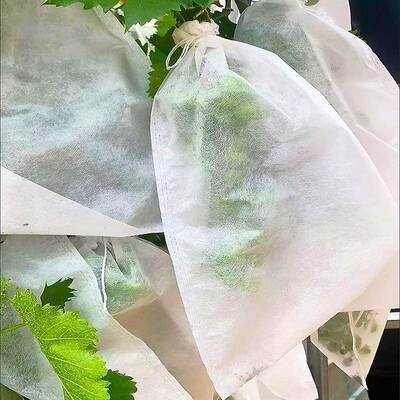 葡萄袋带抽绳虫套育果自2袋水果袋子ALT防水桃子杨桃露防天保X0