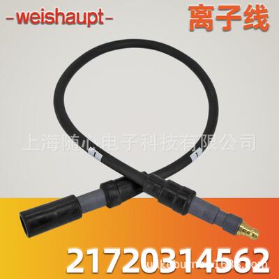 离子线21720314562|weishaupt/威索燃烧器专用德国