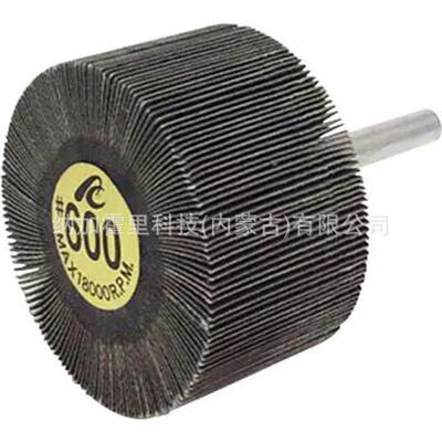 ICHIG1UCHI市口砂轮百叶5片抛光片TDE1001-Z-4TDE00150WLF-Z-60/8