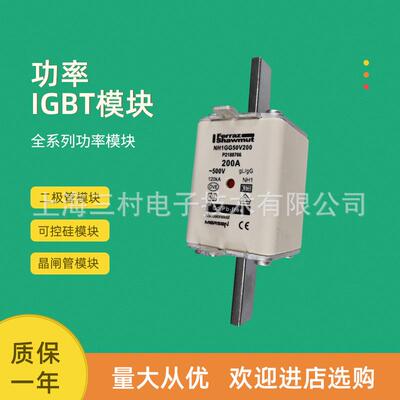 全新熔断器保险丝NH000GG69V20tL228446 NH000GG69V25M228447