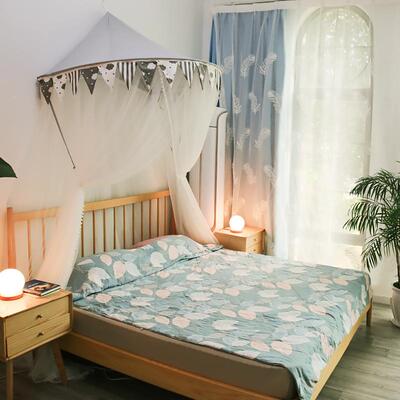 蚊1FS756285.8m1.米床家用免安装1.2/25.0帐网红床幔顶圆吊加密厚