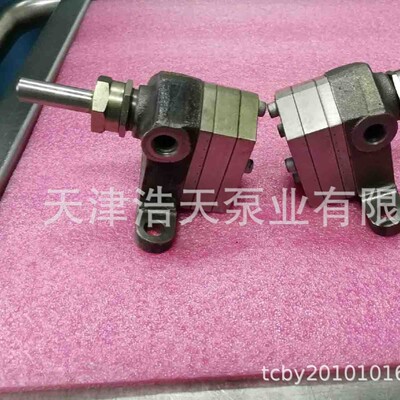 TDDP喷涂油漆胶水高温齿轮泵
