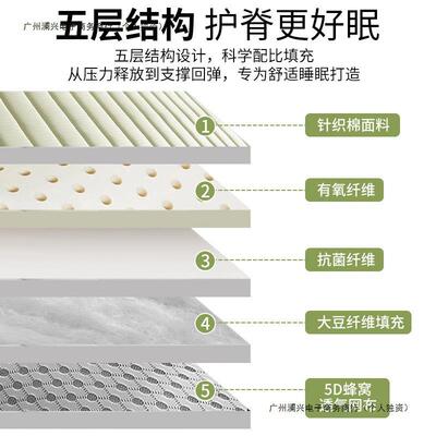 床垫软垫地铺睡单垫家用可垫折IMN叠防潮地打地铺双人租专房用