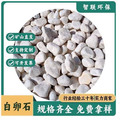 园白子现货林造景铺路砾石卵石多819肉铺石面鱼缸装饰鹅石白色卵