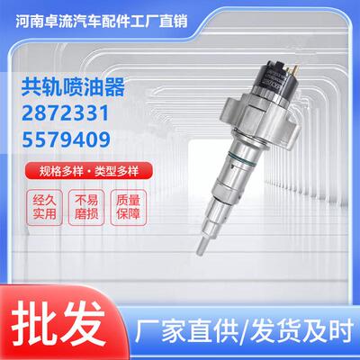 燃油共轨喷油器2872331 5579409油嘴总成柴油发动机配件