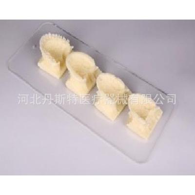 上颌骨发育模型下颌骨发育模型