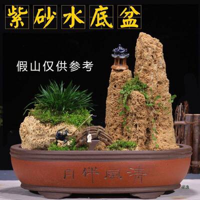 特大水底假盆山台景盆丛林组F9577T9S合树桩菜盆景阳种长方盆景盆