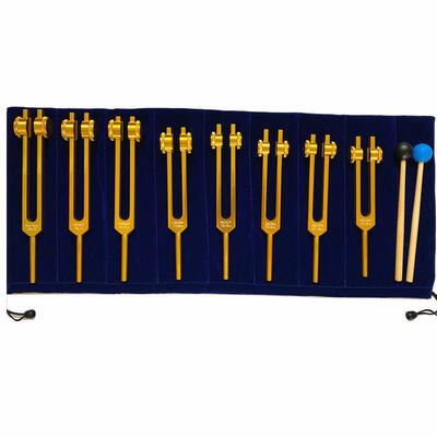 八支音叉组126.22HZ136.1141.27172.06210.42194.18金色银色