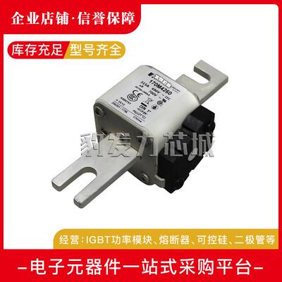 170M4214170M4215170M4216170M4217170M4218170M4219熔断器