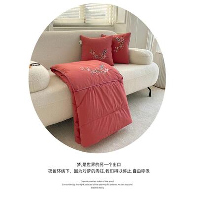 206车载枕2被子两用纯2026新bgt74351款加大办公室午棉睡抱枕头毯