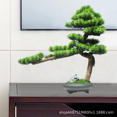 崖柏盆景仿迎客松植盆绿真景仿摆件造景酒店装饰FBC真树玄关样板