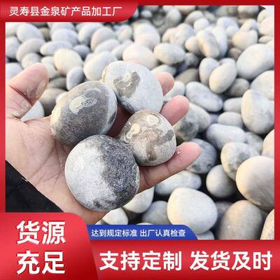DCE抛光林圆形椭圆鹅卵石5-鹅m8c铺地白色卵石现货园造景鹅卵石