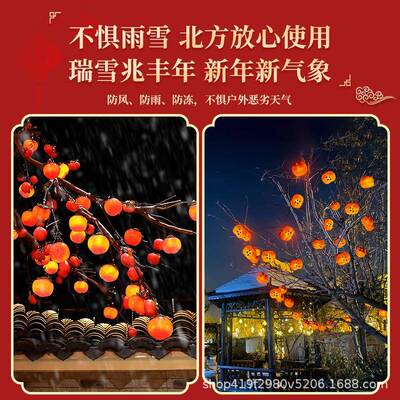 20柿2庭6新款太阳能户外灯PQB家用院氛围串彩灯子灯灯小院挂树上