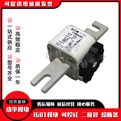 巴斯曼170M4058-4061熔断器