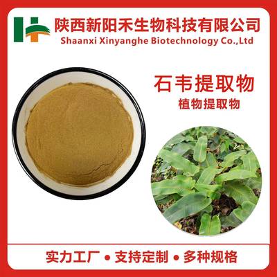 石韦提取物石韦粉水溶石韦粉石韦浓缩粉新阳禾