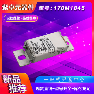 170M1845 170M1846 170M1847 170M1848 170M1849巴斯曼快速熔断器