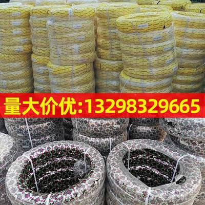 60635锦轮胎电动车摩托胎车轮胎型1508015真空150/新80-15寸踏板