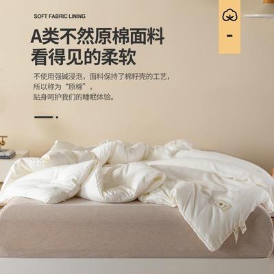 A类全棉纯棉大空豆款纤维单人薄夏季8899凉被子春秋空太调被芯可
